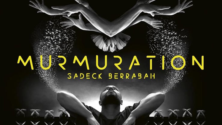Murmuration : le nouveau spectacle de Sadeck Berrabah
